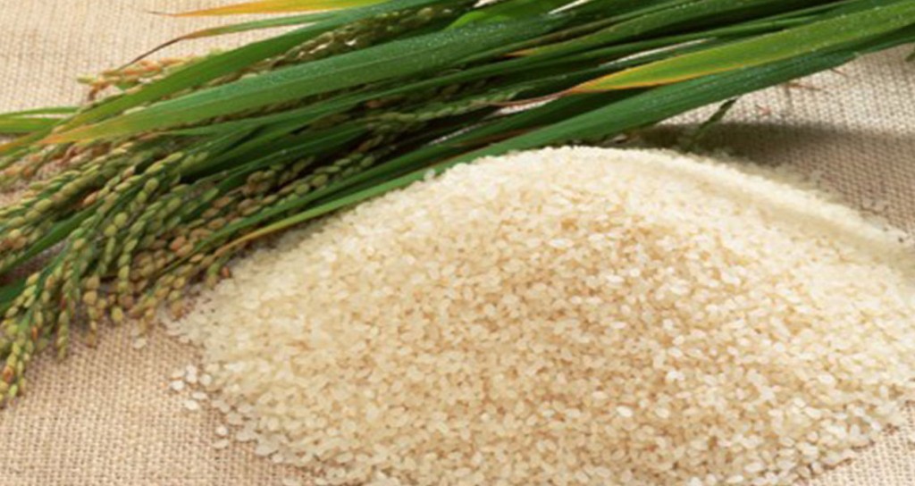 Alimentation : le riz et ses différentes variétés - Lôr Bouôr